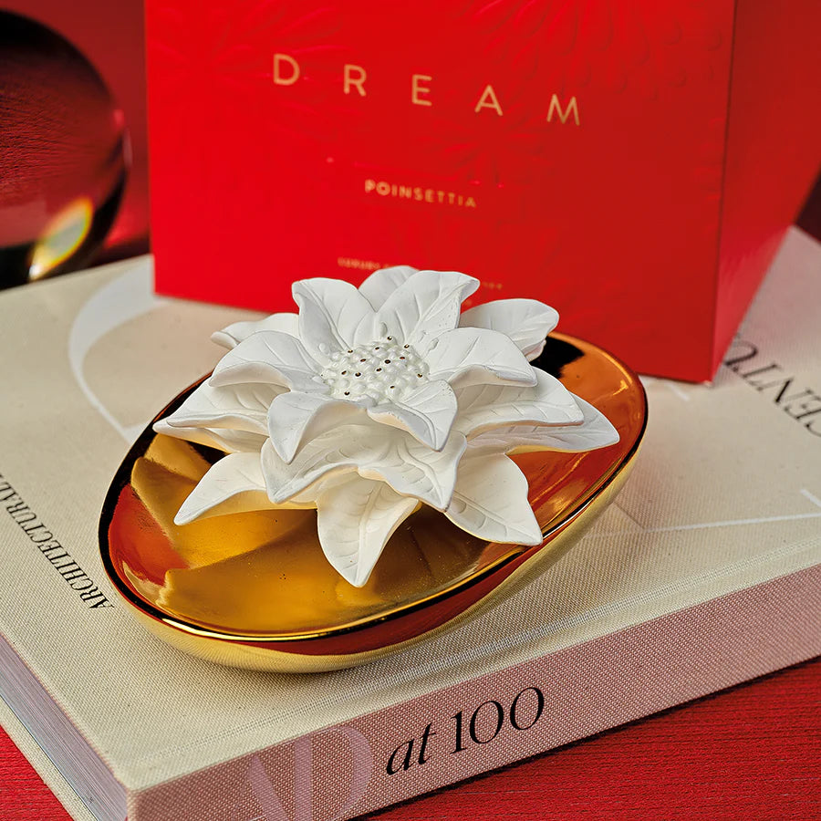 Dream Holiday Porcelain Diffuser – Lucy Rose