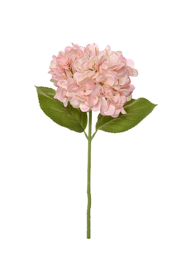 19" Real Touch Bright Pink Hydrangea Stem – Lucy Rose