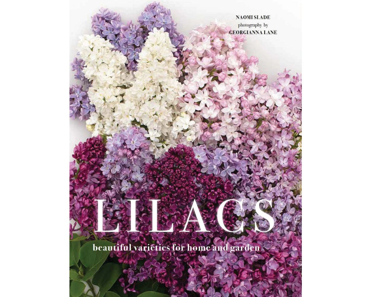 Lilacs Book – Lucy Rose